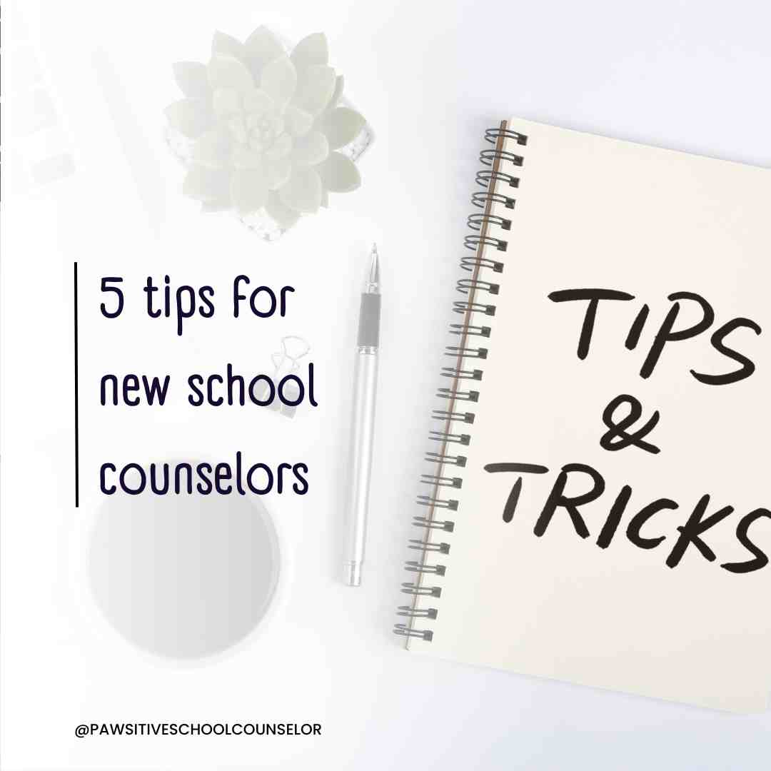 5 tips for new counselors – Pawsitive School Counselor