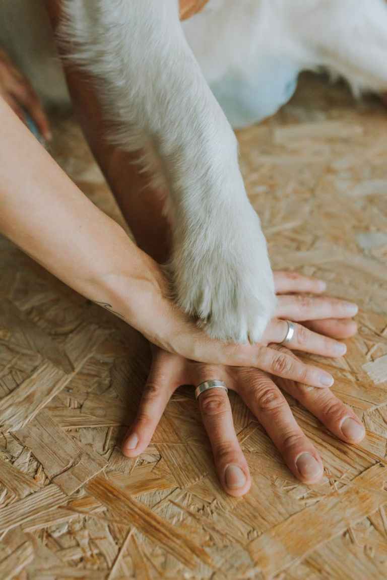 Selective Mutism: Signs, Support, and Success – Pawsitive School Counselor