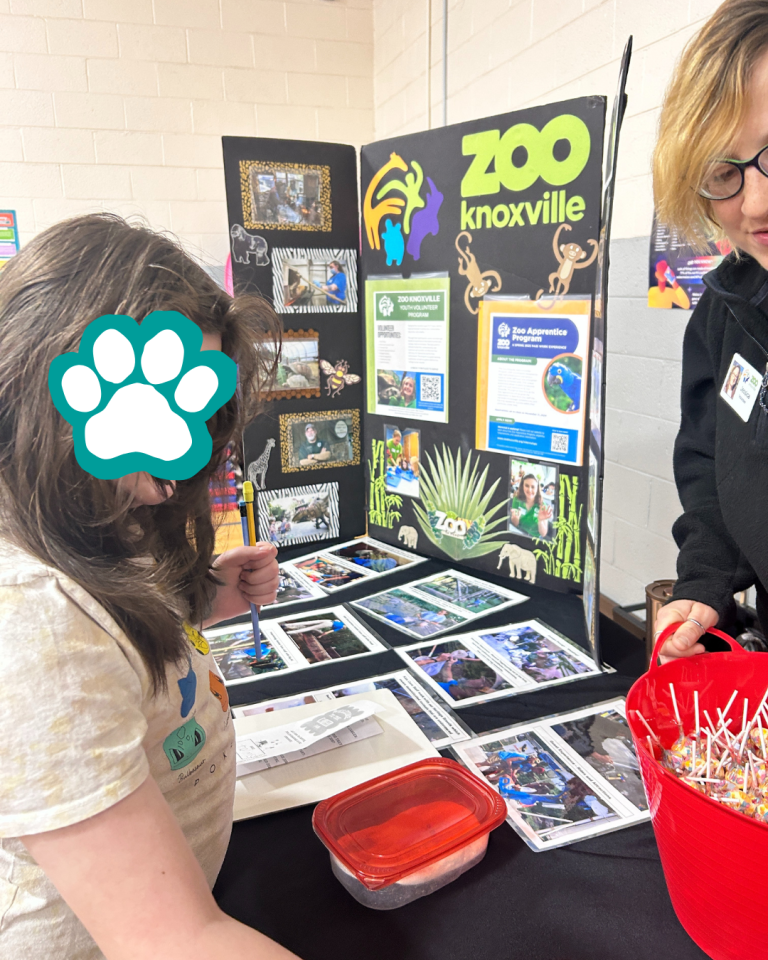 Hosting a Career Fair: 5 Flexible Ways to Make It Work – Pawsitive ...